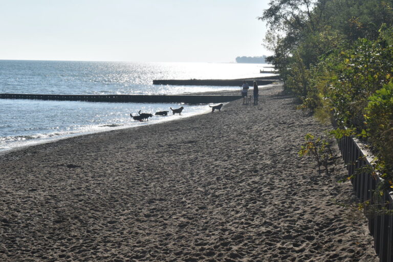 Village, park district beachfront conversations get underway following ...