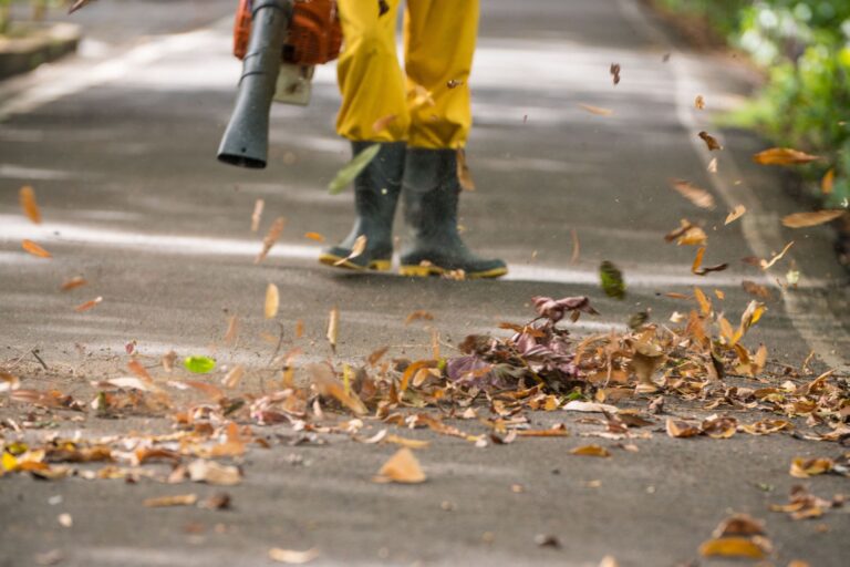 Decision on future of gas-powered leaf blowers expected near year's end ...