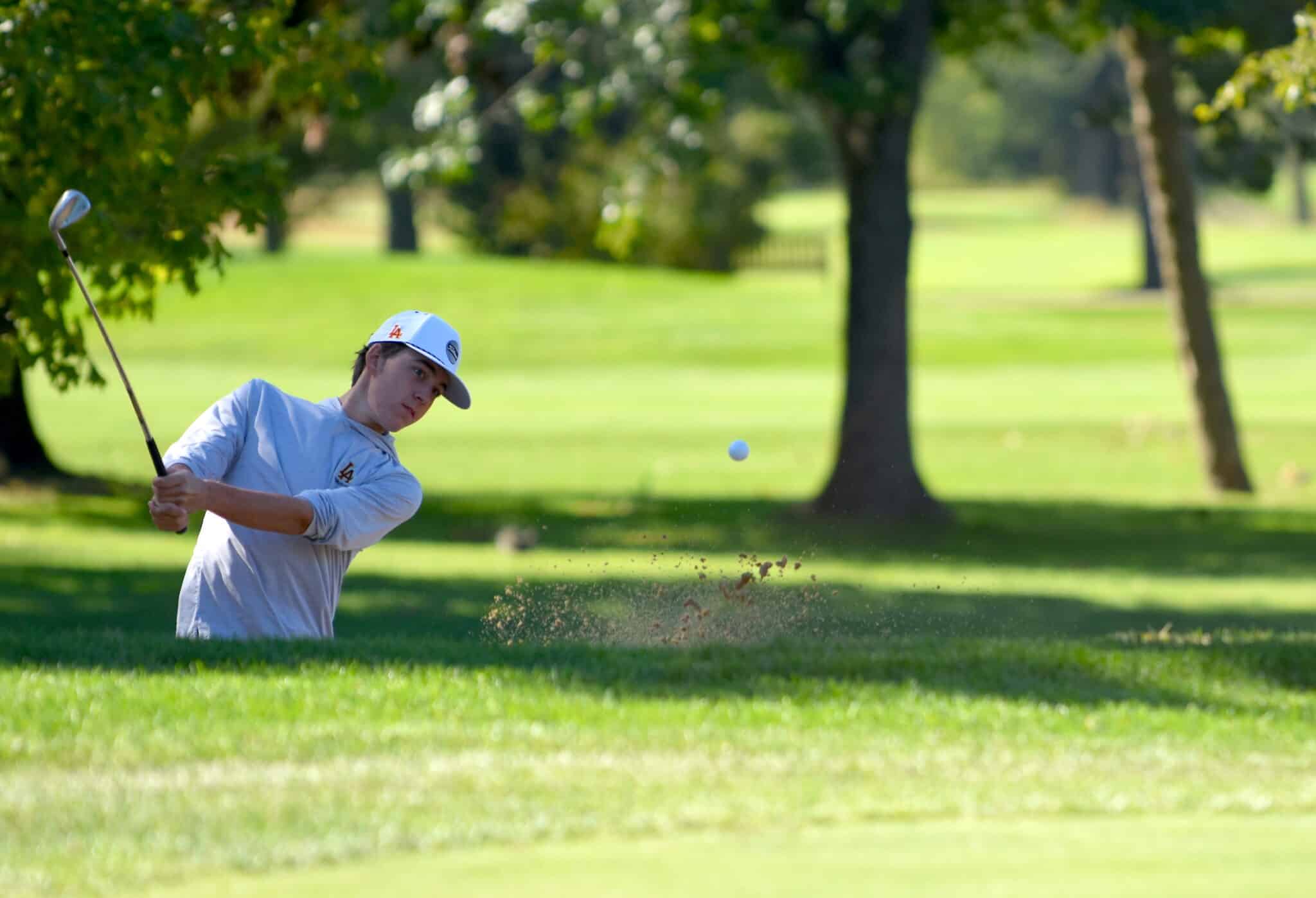 New Trier, Loyola boys golfers keep seasons alive at regional; A ...