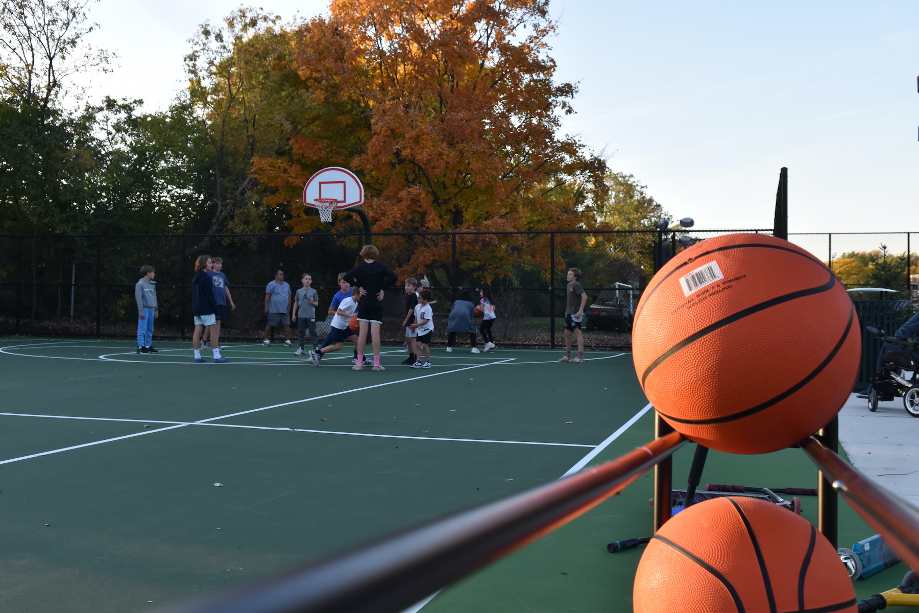 Park district shows off a new Townley Field - The Record