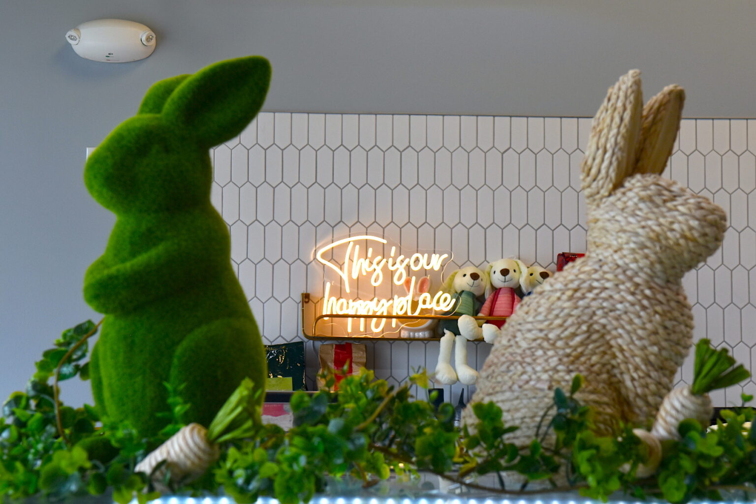 Fluffy Bunny coffeeshop hops into Ravinia district in Highland Park ...